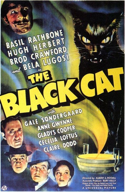 Sección visual de El gato negro FilmAffinity