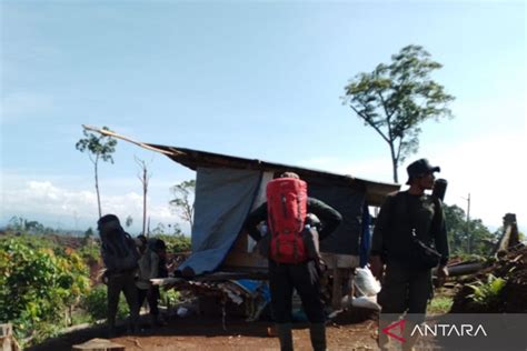 Polhut Mukomuko Gelar Patroli Gabungan Cegah Perambahan Hutan ANTARA