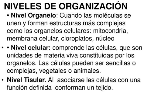PPT NIVELES DE ORGANIZACIÓN DE LA MATERIA PowerPoint Presentation