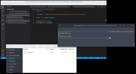 Obtener información de un archivo en Python decodigo