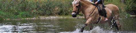 Reittherapie Stefanie Ebert Termine Reittherapie Stefanie Ebert
