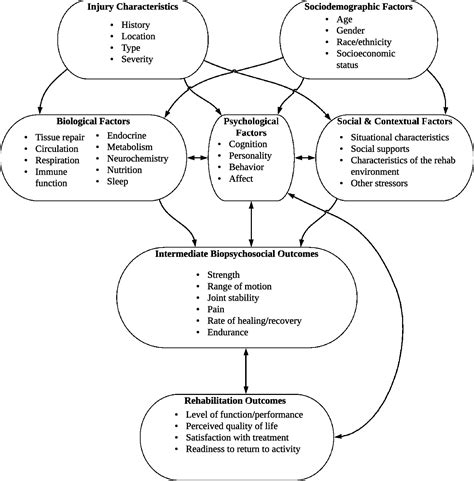 figure 1 from the biopsychosocial model application to occupational therapy practice semantic