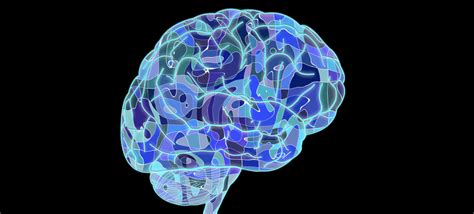 computational neuroscience croucher foundation