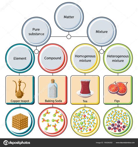 Diagrama De Sustancias Y Mezclas Puras Vector De Stock Por Inkoly