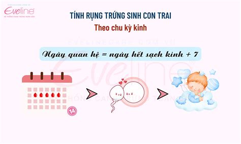 Cách tính ngày rụng trứng để sinh con trai chuẩn xác