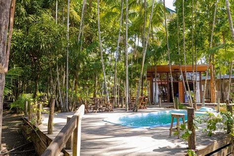 O Que Fazer Na Ilha Do Combu E Como Chegar Turismo De Natureza