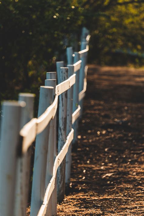 10 Ways To Set Boundaries During The Holidays Proactive Therapy