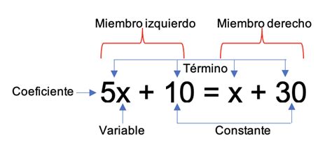 Ecuación qué es partes tipos y ejemplos