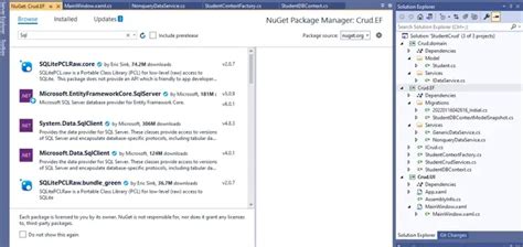 wpf entity framework core mvvm project step by step tutusfunny
