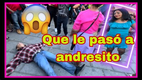 WOW MIRA COMO LLEGÓ VERITO YouTube