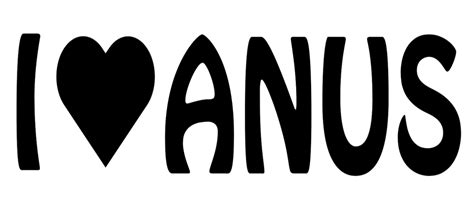 I LOVE ANUS Sticker X 2 Gay Pride Prank Funny Rude Vinyl Decal Car