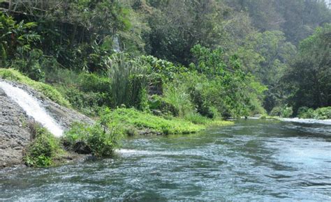 7 Mejores Lugares Turísticos de Actopan Veracruz
