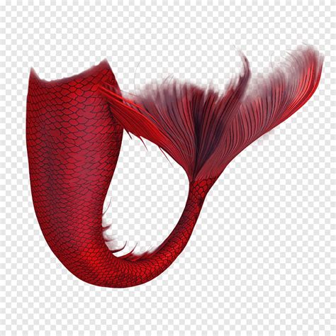 Téléchargement Gratuit Mermaids Tail Mis Mis Pedidos shop art de la