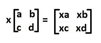 How To Understand The Basics Of Matrices Steps With Pictures
