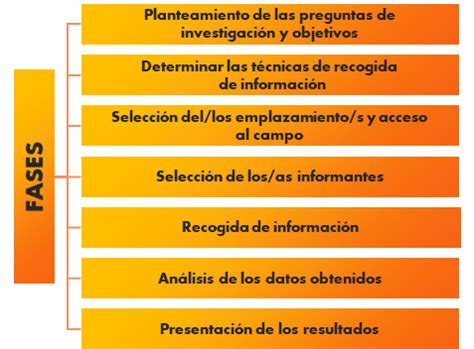 Ganar control Hueco Desarrollar fases de la sociedad de la información