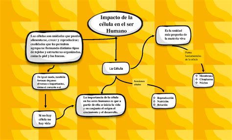 Esquema Partes fundamentales de la célula Funciones vitales Impacto