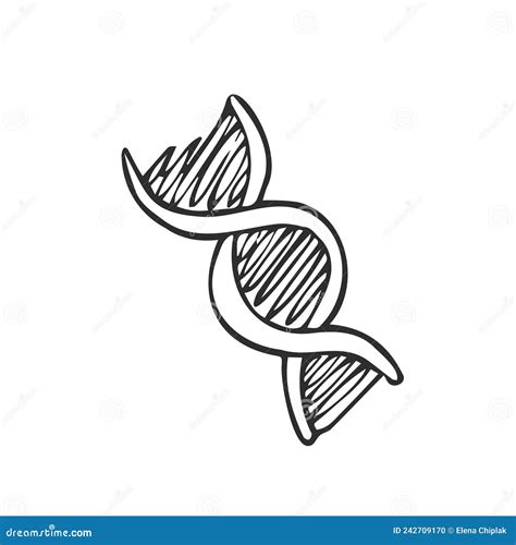 Medical Doodle Objects Simple Hand Drawn Dna Molecule Vector