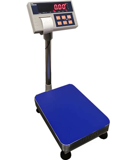 Micro A E Platform Scale Sasco Weighing Warehouse