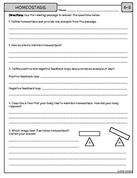 Homeostasis And Feedback Loops Reading Passage And Questions Classful
