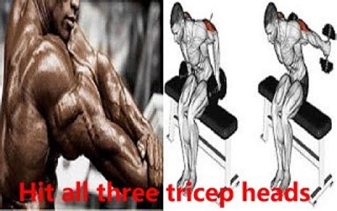 Hit All Three Tricep Heads With Five Exercises And Fill Your T Shirt