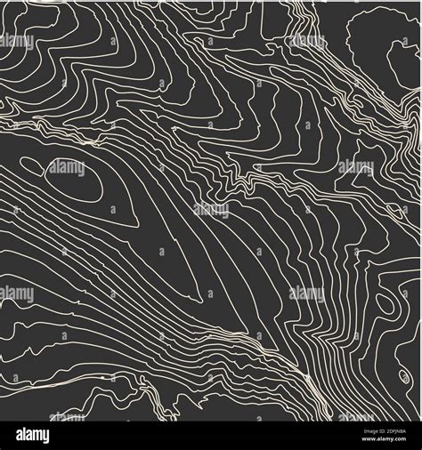Grey Contours Vector Topography Geographic Mountain Topography Vector