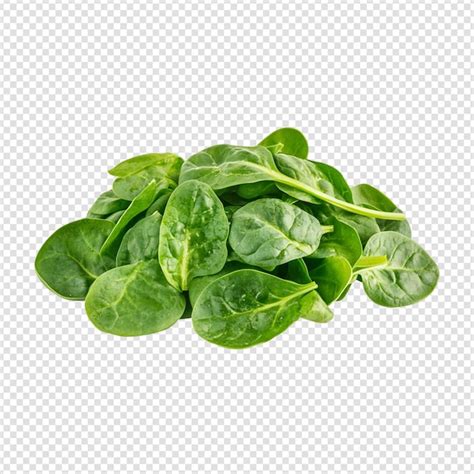 Spinach Isolated On Transparent Background Cut Out Premium AI