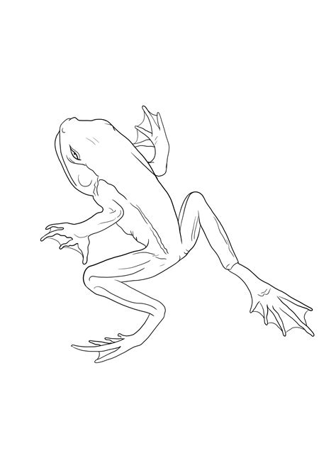 Una Rana Saltando Para Imprimir Gratis Para Colorear