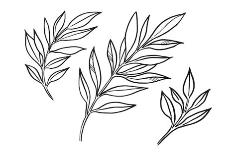 Premium Vector Hand Drawn Vector Plants Brunch Of Flowers Sketch Of
