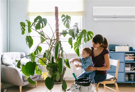 A Step By Step Guide On How To Clean Your Air Conditioner