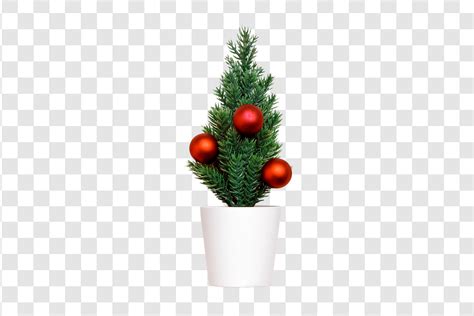 6603 Christmas Tree Isolated Graphic By Kzara Visual Creative Fabrica