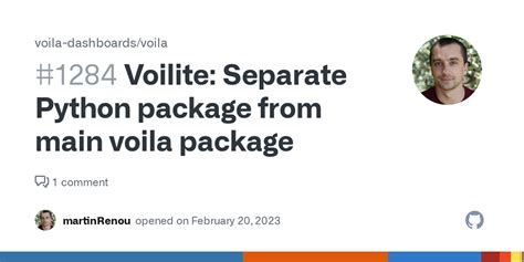 Voilite Separate Python Package From Main Voila Package Issue