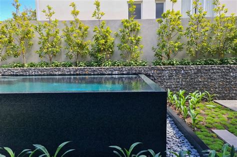 Naked Freshwater Pool Systems Freshwater Pool System Natural