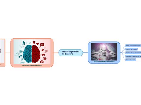 Neurocognición El Cerebro Mind Map