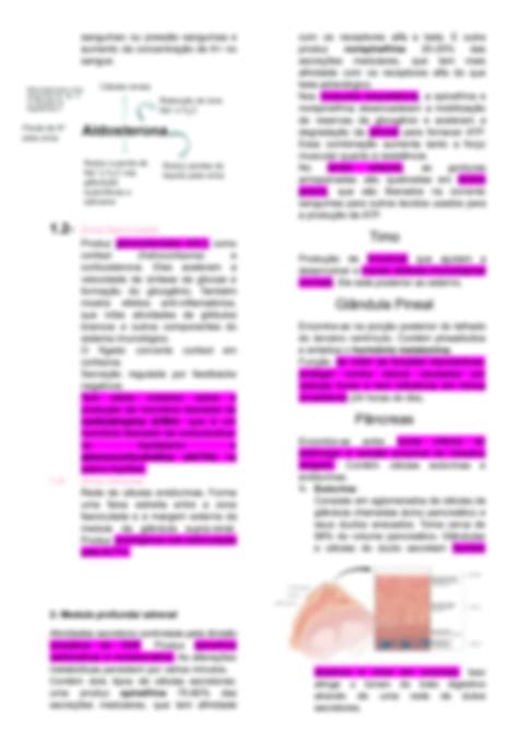 SOLUTION Aula 2 Sistema End Crino Docx Studypool