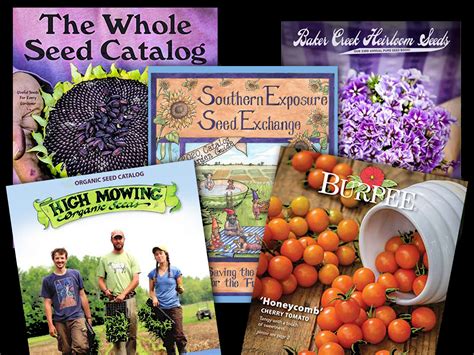 Pioneer Seed Catalog Elsy Norean