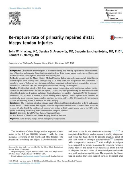 PDF Re Rupture Rate Of Primarily Repaired Distal Biceps Tendon