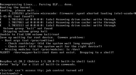 Kali Linux Installation Step Failed Bodyase