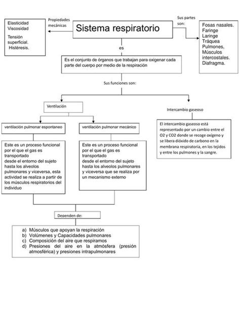 Mapa Conceptual Sistema Respiratorio Camila Ramires UDocz