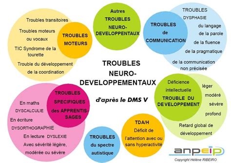 Science infographic Troubles neuro développementaux selon le DMS V