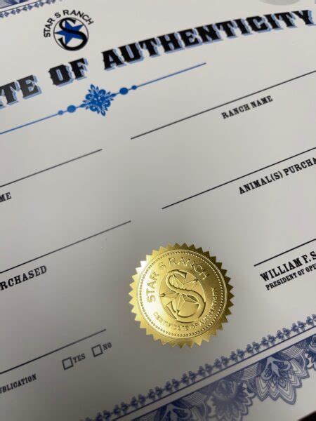 The Art Of Foil Stamped Certificates Corcoran Printing