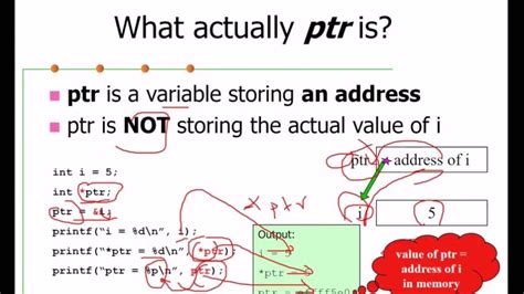 pointers in c explained in detail youtube