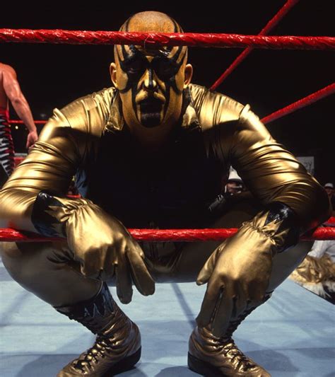 The Fishbulb Suplex Pro Wrestling Wwe Goldust Pro Wrestler