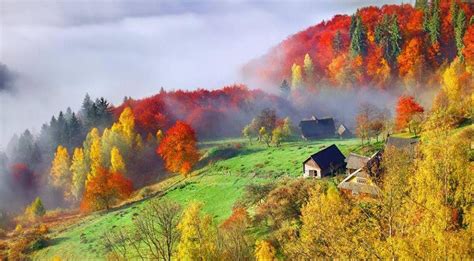 Imagenes chulas aqui Página 671 Farmerama ES