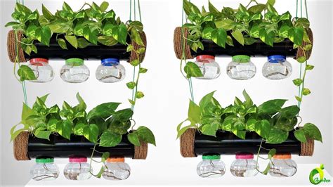 Self Watering System For Hanging Money Plant Auto Watering System For