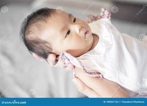 Adorable New Born Baby Resting In Mothers Arms Stock Photo Image Of