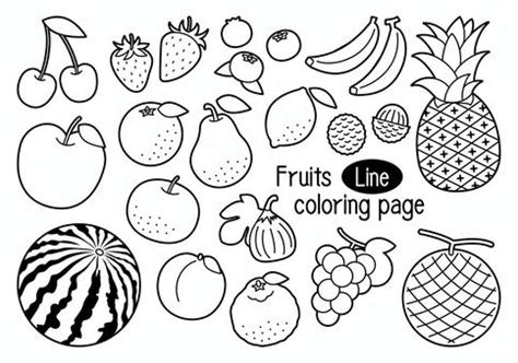 Free Vectors Various Fruits Coloring Page