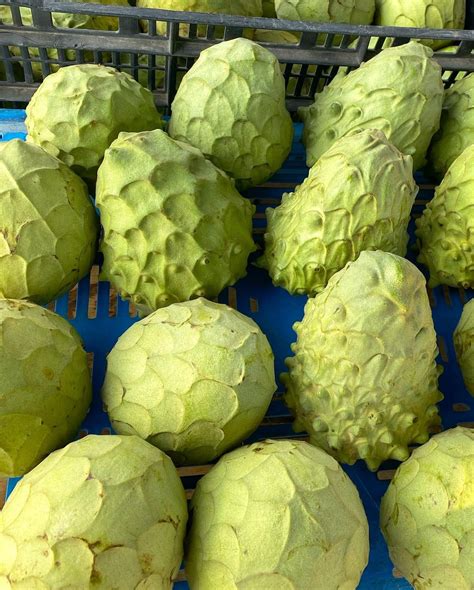 Cherimoyas Vccfm