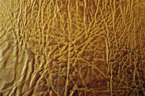 Brown Textura De Piel Foto Premium