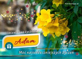 Imieniny Adama Darmowe kartki dla Adama Życzenia i kartki za darmo