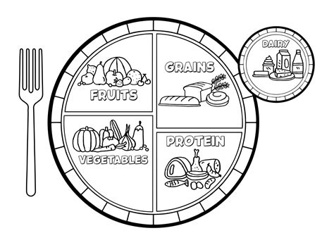 Healthy Plate Coloring Pages My Food Plate Healthy Food Plate Healthy